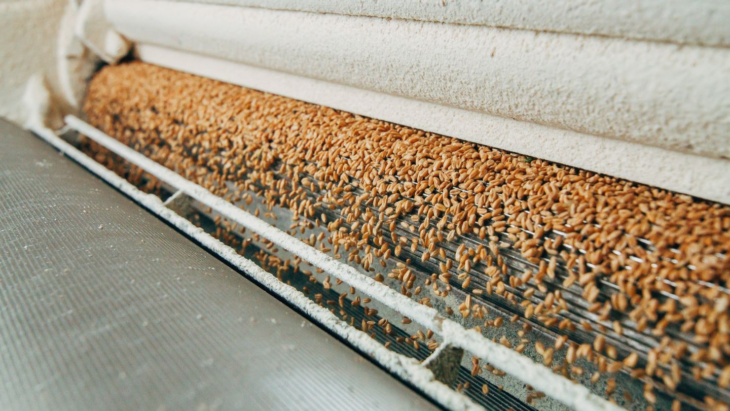FAO-tracked world cereal prices hit 19-month high on fuel, fertiliser costs