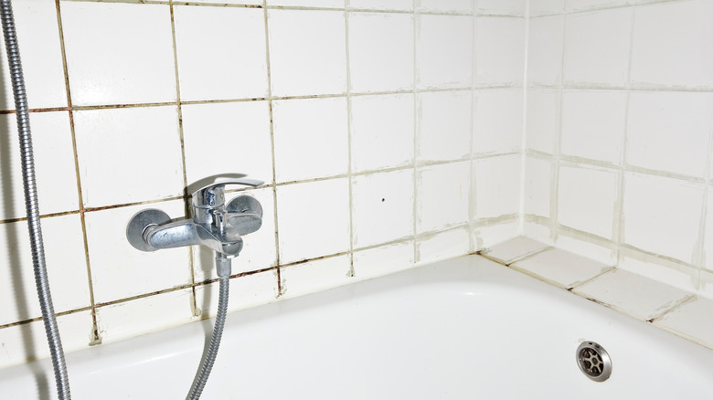 Here's How Often Should You Reseal Grout In Your Tile Shower
