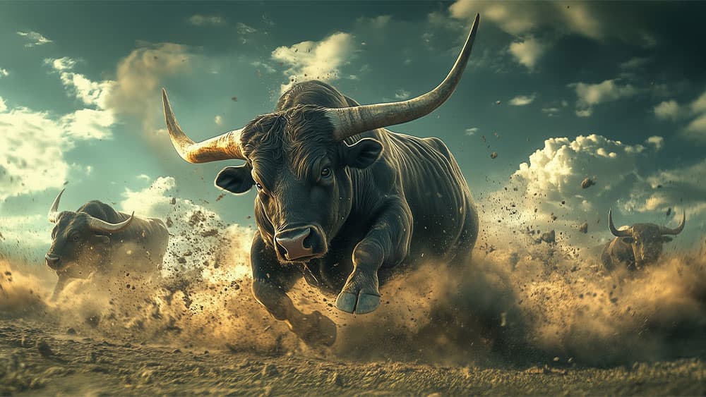 Dow Jones futures: S&P 500 hits new high, Amazon leads several buys ...