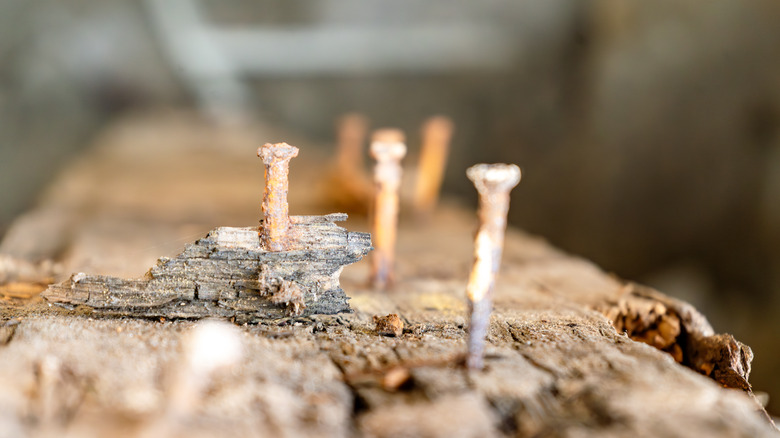 The simple hack that turns rusty nails into a rich, beautiful wood stain