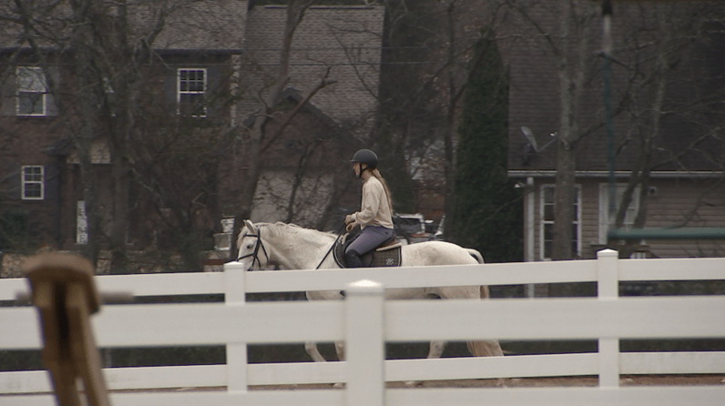 Lebanon neighbors voice concerns over 300+ home development