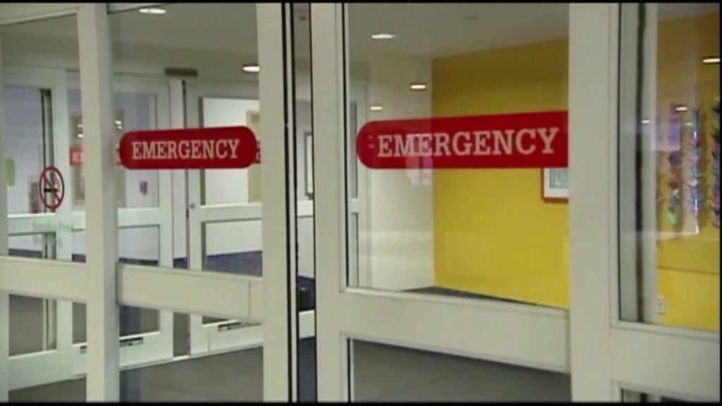 New York state's mental health services for children to get makeover ...