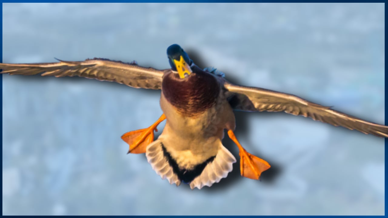 Judge shoots down SeaWorld duck 'knockout' lawsuit