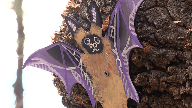 UNC Asheville removes art exhibit from South Campus Woods, citing ...