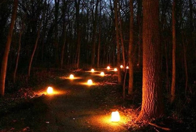 Dinosaur World Live, cocoa and trains, and more fun things to do in CT ...