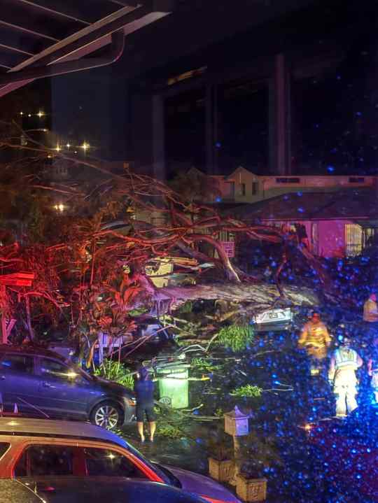 Photos: Huge tree causes damage to parked car, blocks road in Pearl City