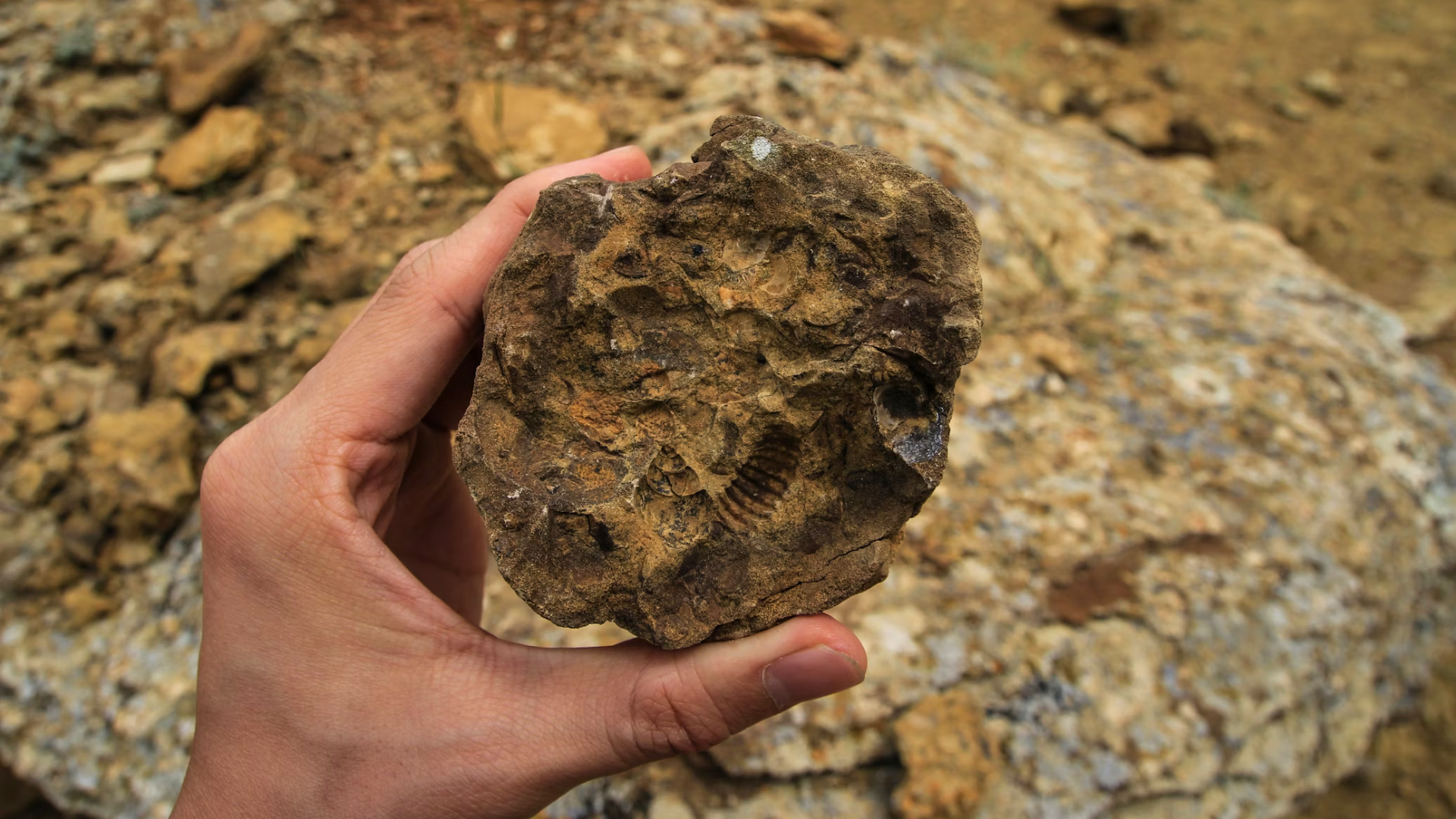 The timeline of life on Earth has been rewritten by scientists