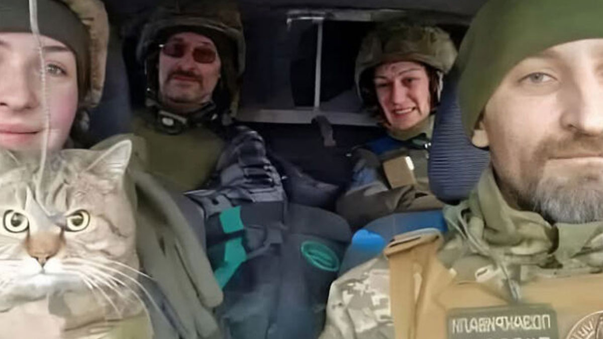 Kitties working hard and hardly working: 109 delightful pics of working ...