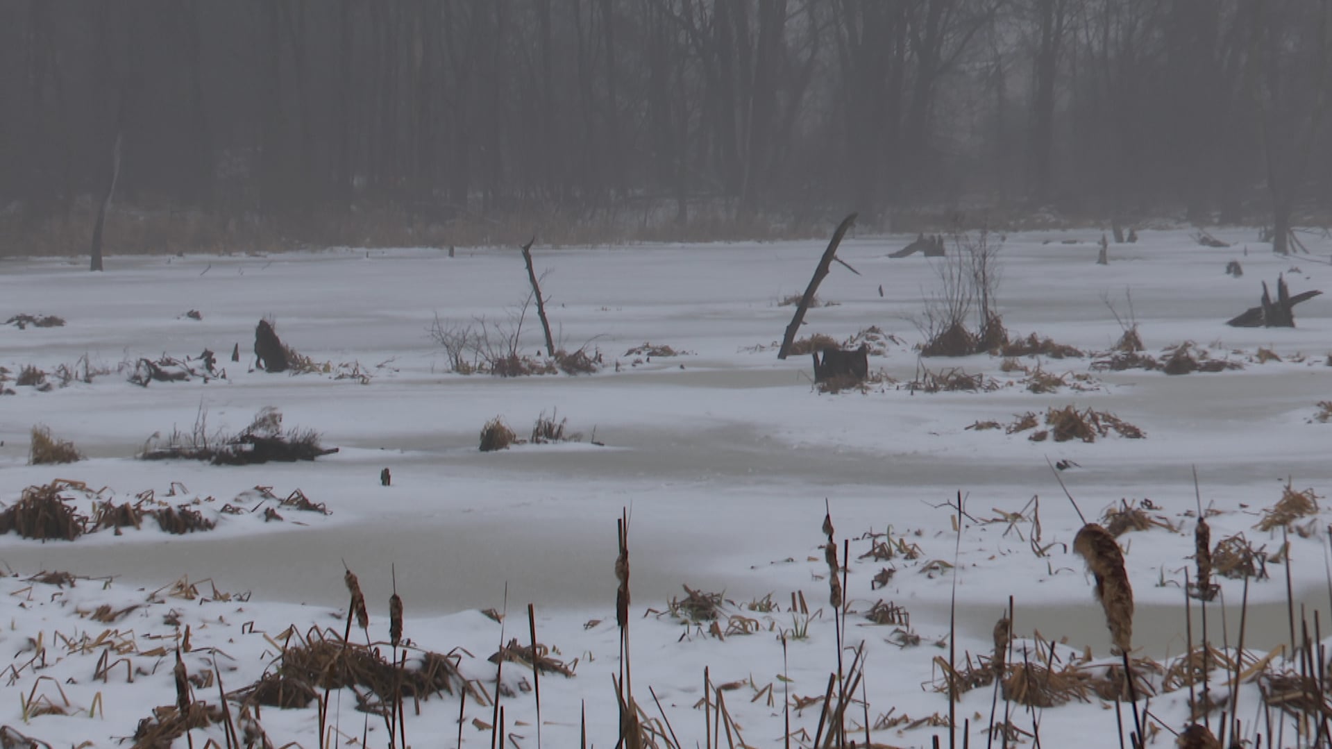 Authorities warn 'stay off the ice' as rain and warmer weather move in