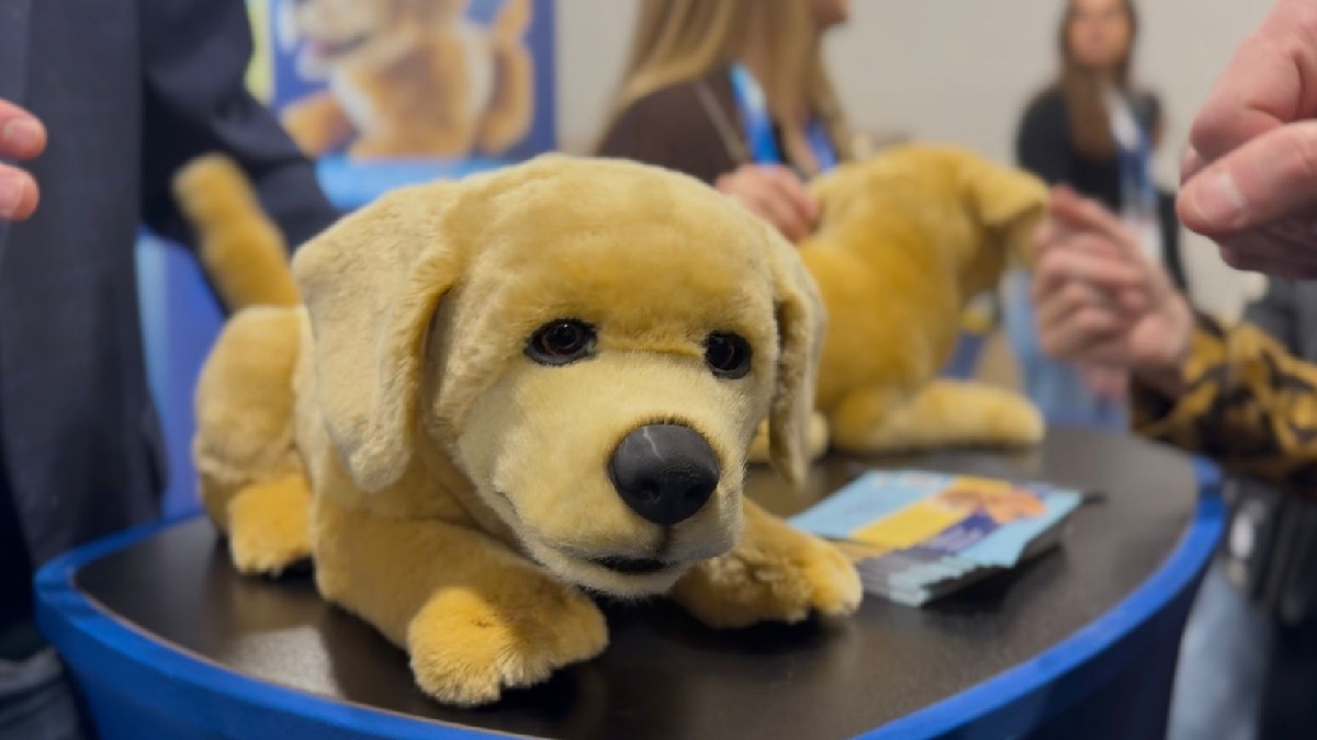 ¡El futuro es hoy! Tombot Jennie, el perrito labrador robótico que ...