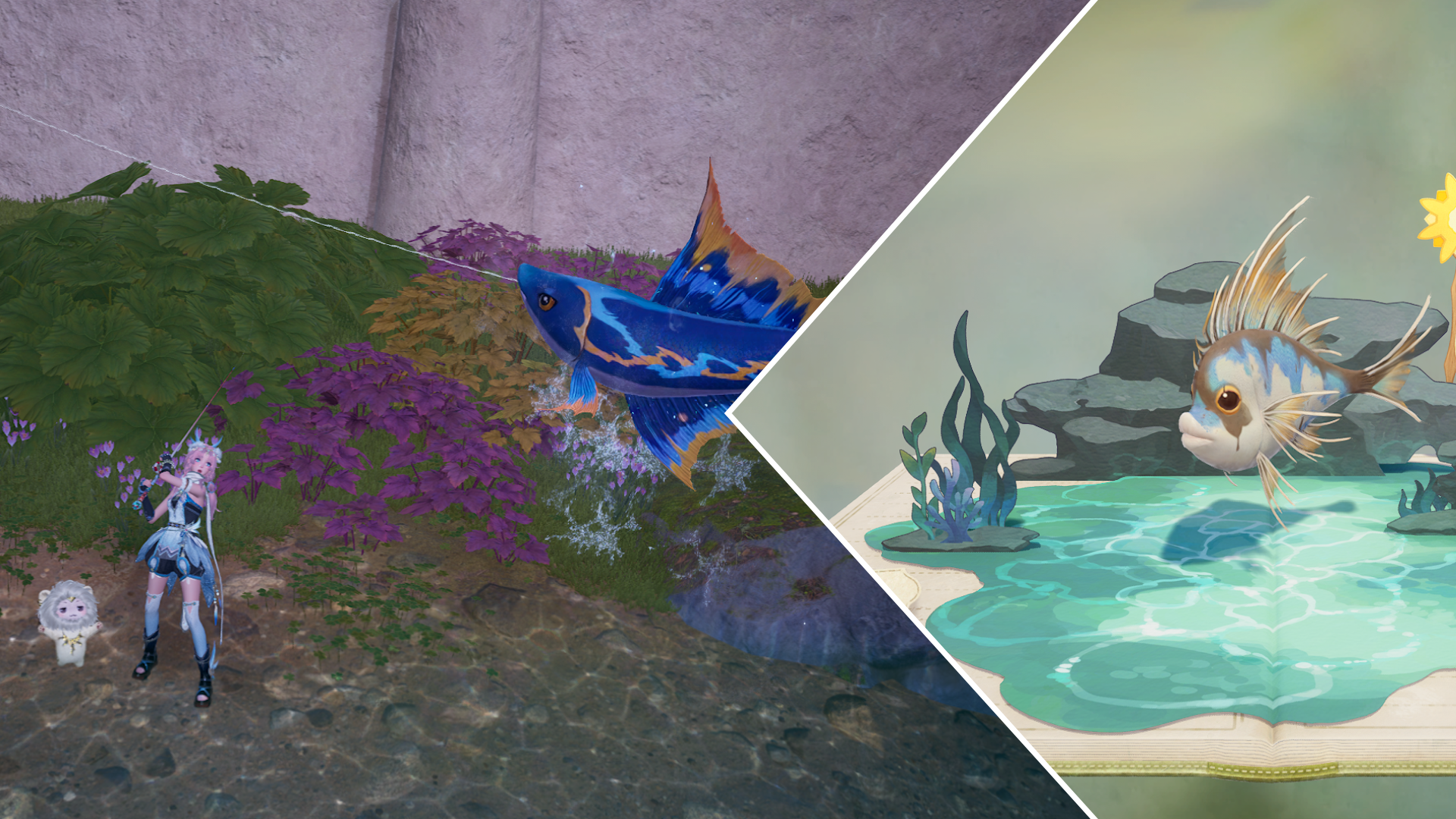 How to catch all Itzaland fish in Infinity Nikki