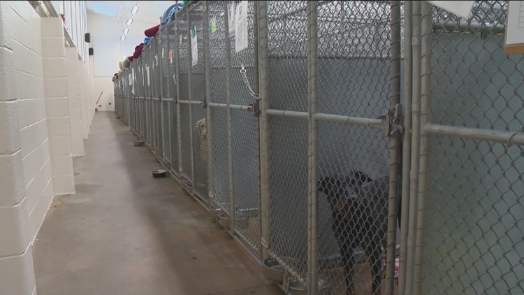 Canyon County, Copper Quill Haven still working on contract; West ...