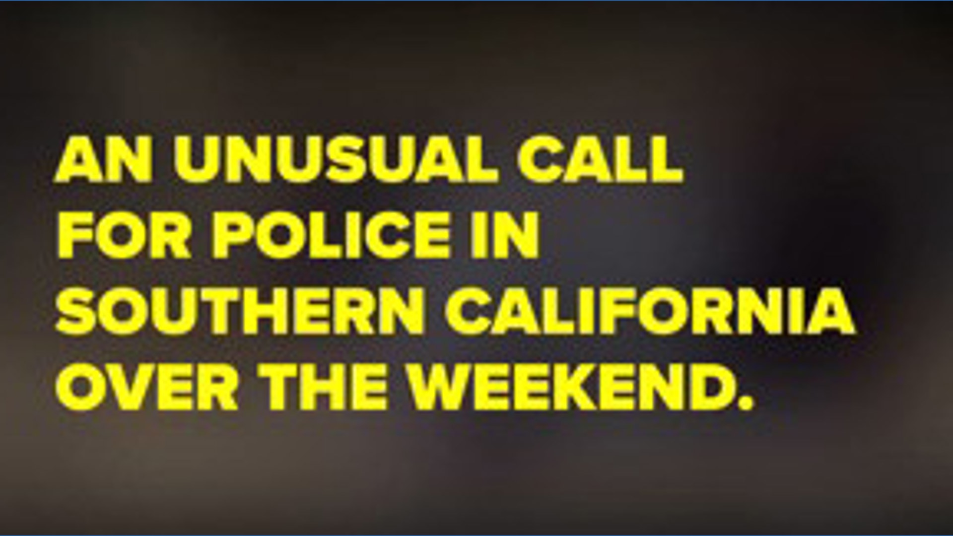 Cow caught casually strolling through streets