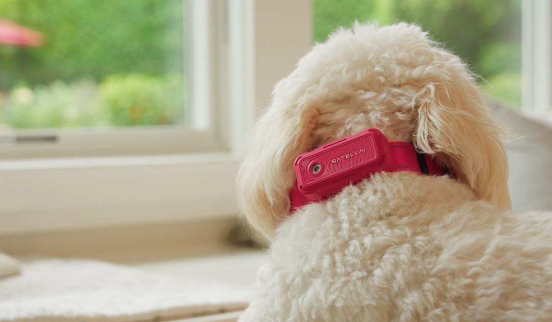 SATELLAI debuts world's first pet health AI at CES 2026