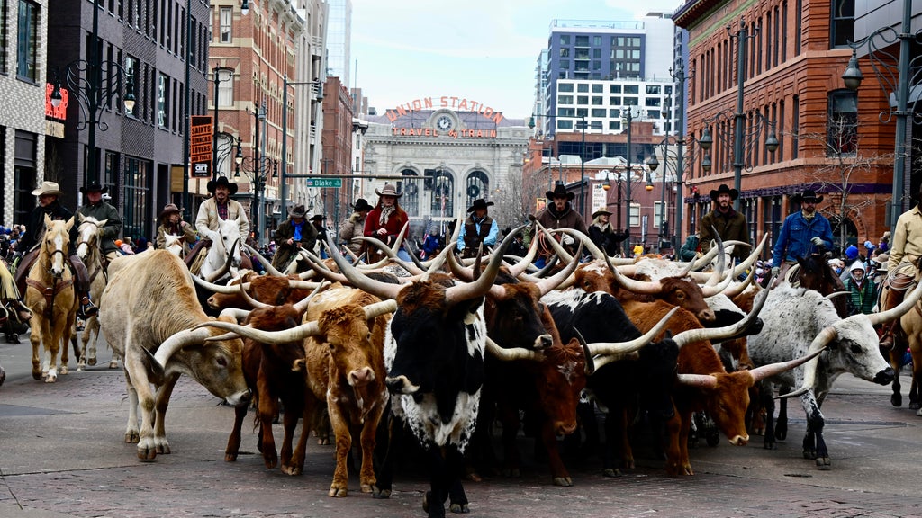 What to know about Denver's 2026 National Western Stock Show and ...