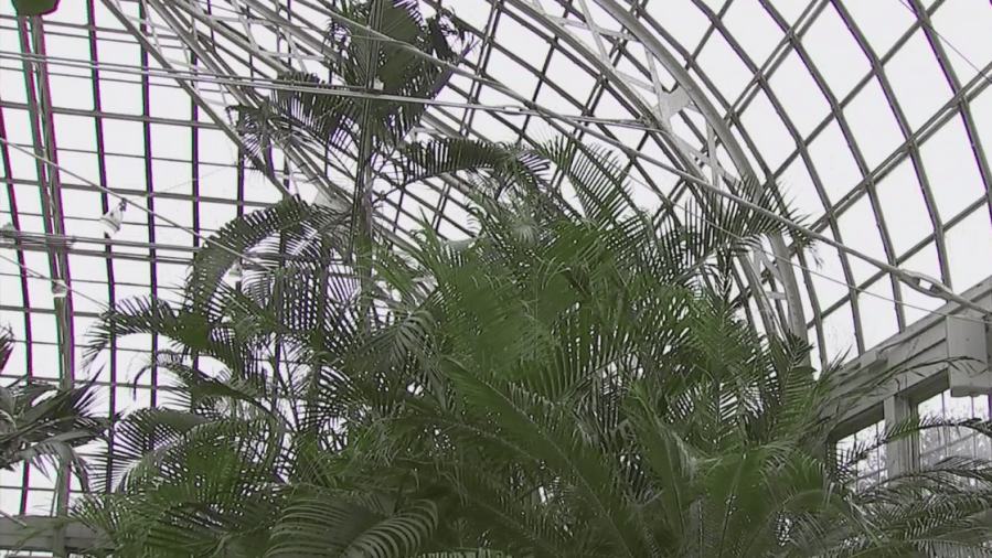Franklin Park Conservatory buckles down for hard work