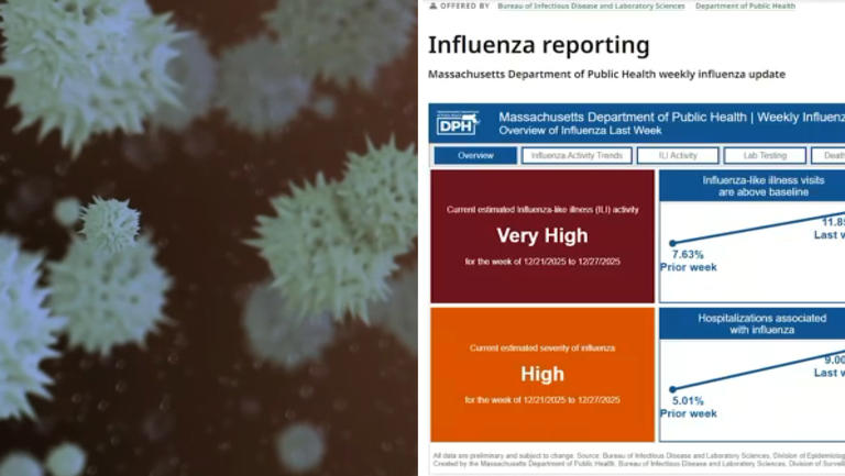 For first time in over 100 years, Mass. opens door to Boston Harbor ...