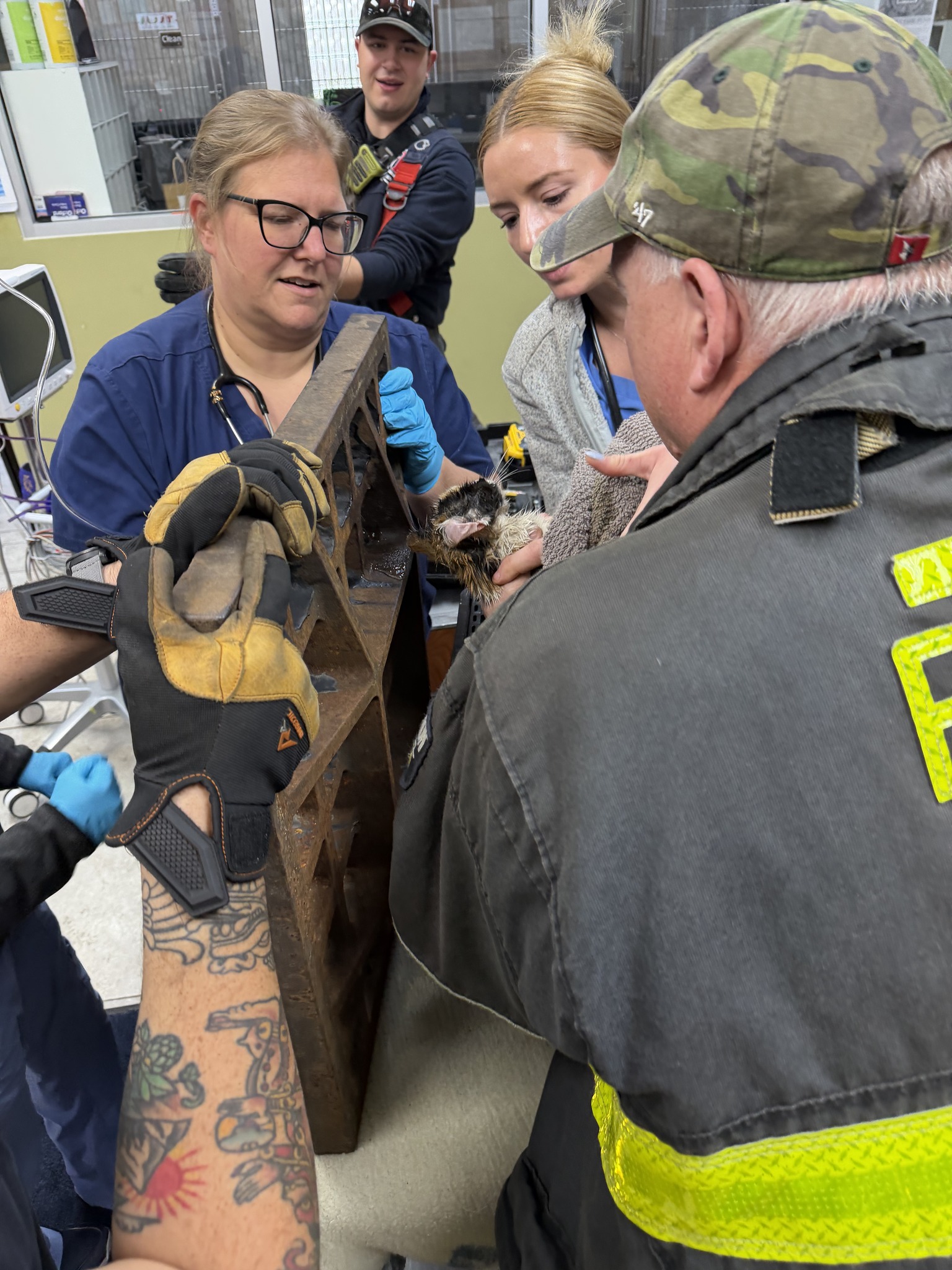 Indianapolis Fire Department saves kitten from heavy storm grate