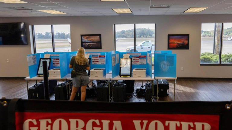 Expert warns Georgia could face repeat election pressure unless voters ...