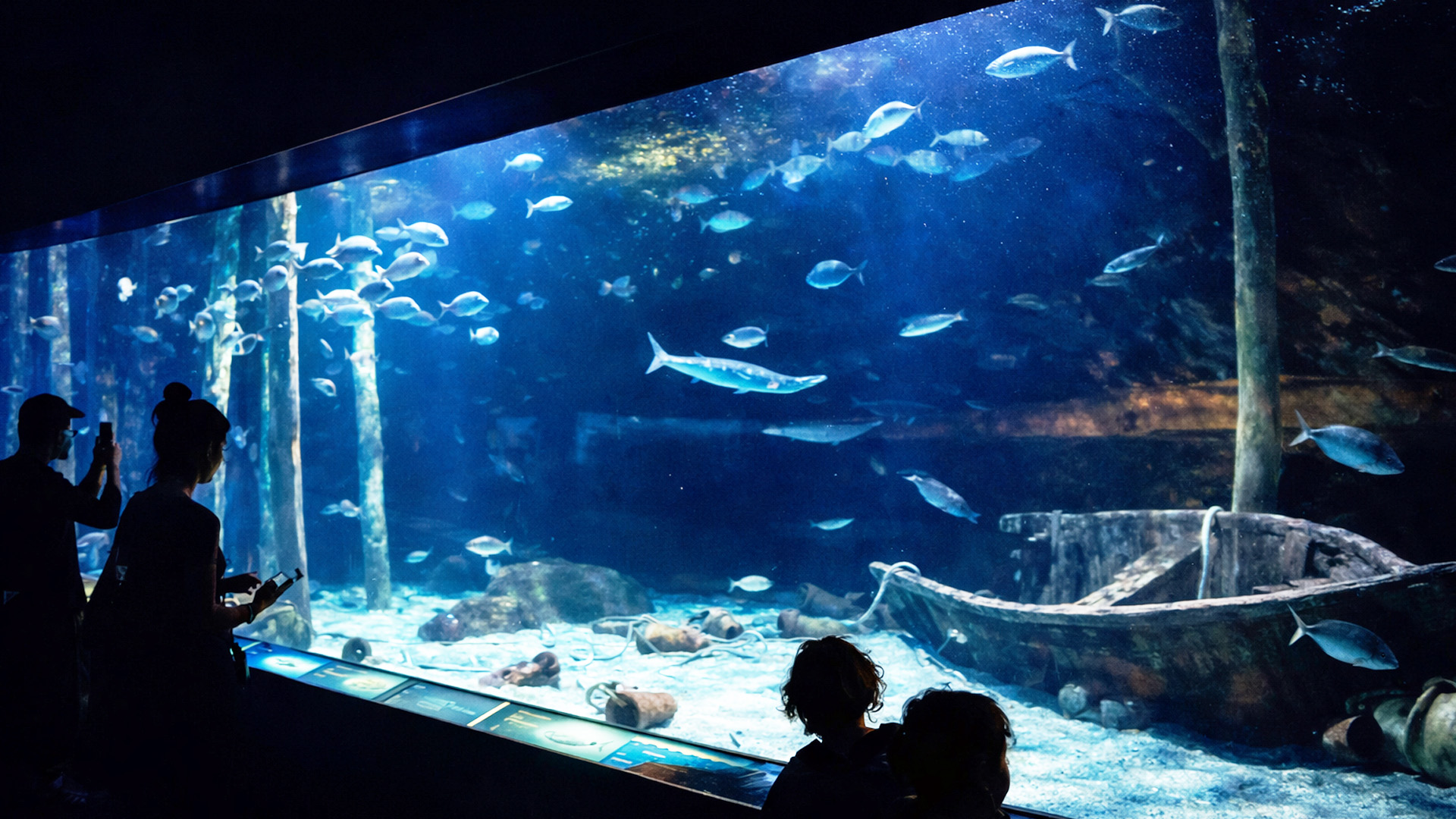 Exploring Europe’s largest marine park