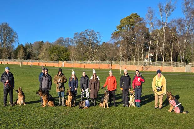 Rescue dogs take to the Wiltshire countryside for charity winter walk