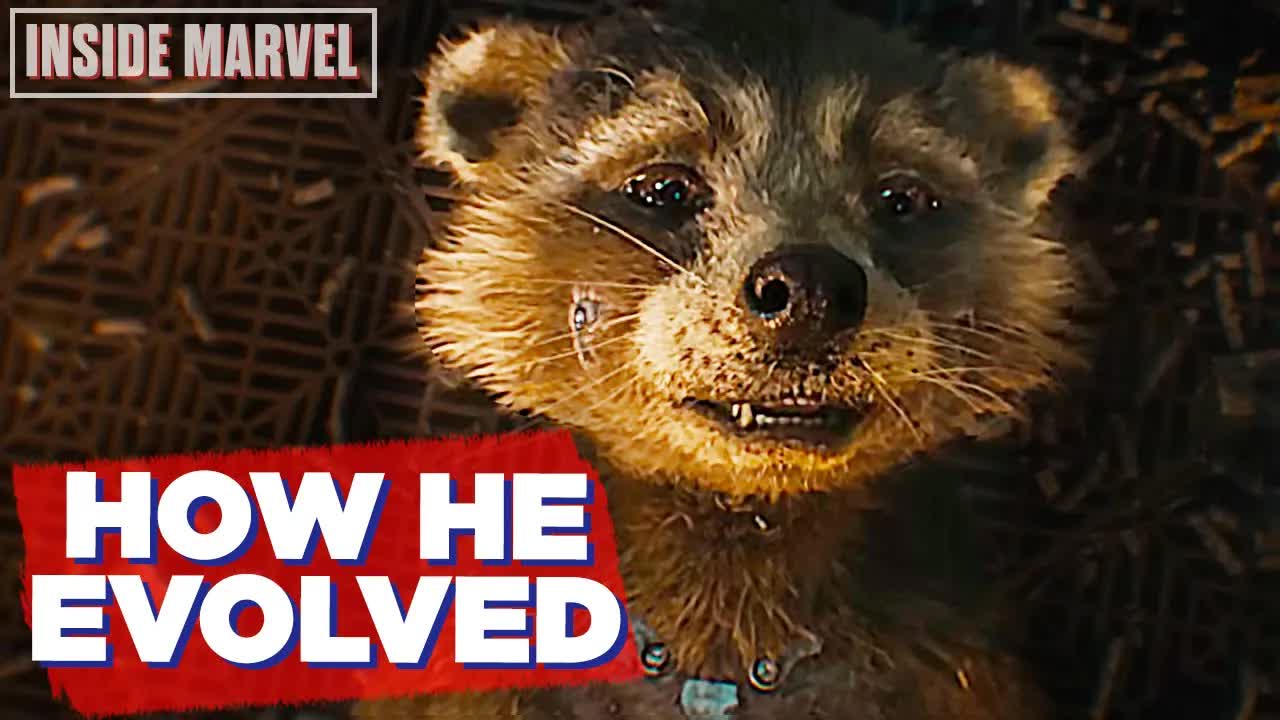 Guardians of the Galaxy Vol 3: Rocket origin & soul explained | Inside ...