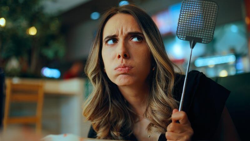 Heatwave conditions likely to bring increase of flies and maggots