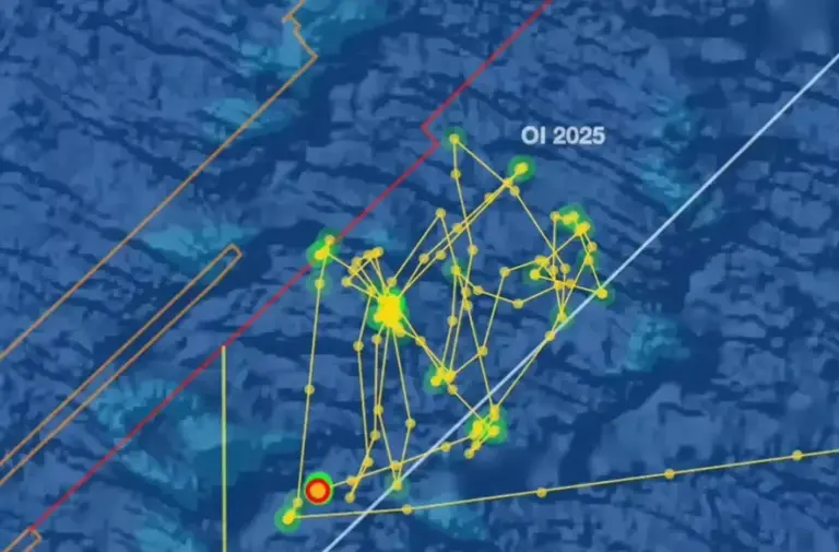 'Unusual behaviour' seen at MH370 search site as hopes rise for ...