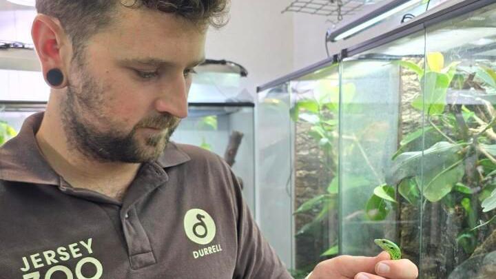 Zoo appoints amphibians and invertebrates curator