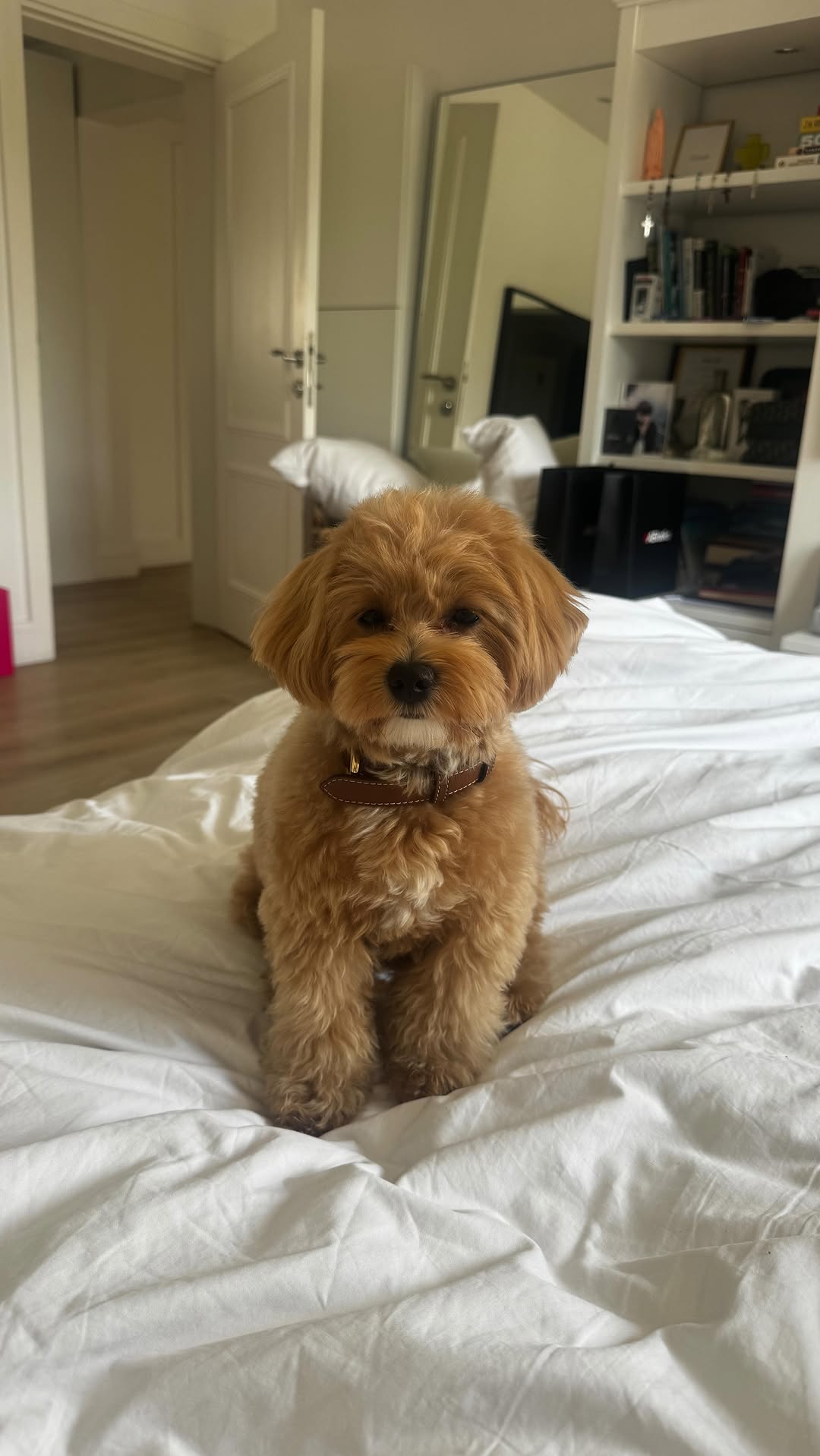 They’re actually all cinnamon rolls deep inside