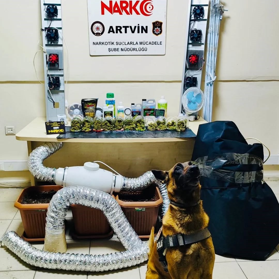 Artvin’de uyuşturucu madde ve yetiştirme düzeneği ele geçirildi