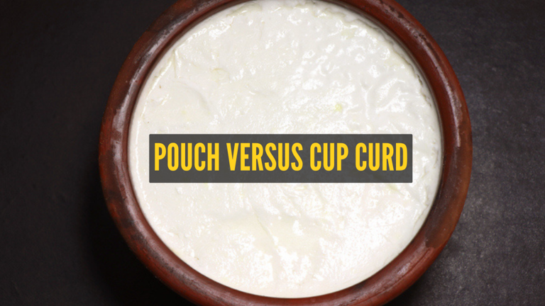 Pouch versus cup curd: Which is more hygienic and how to set your own curd