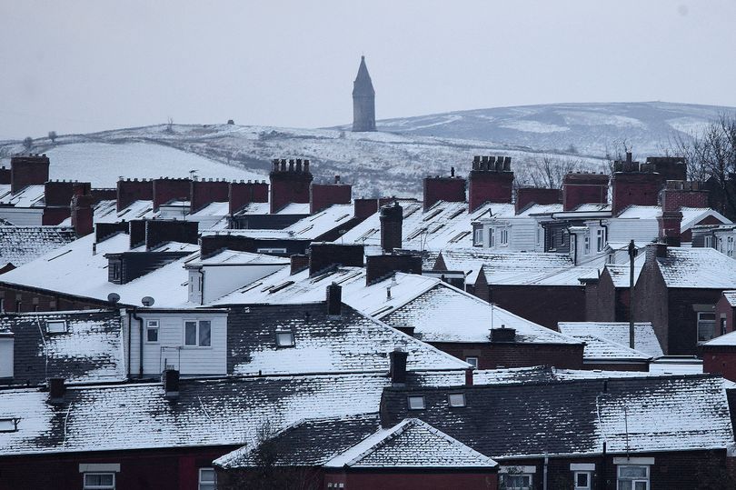 Huge sign in nature means our cold snap could lead to heatwave summer