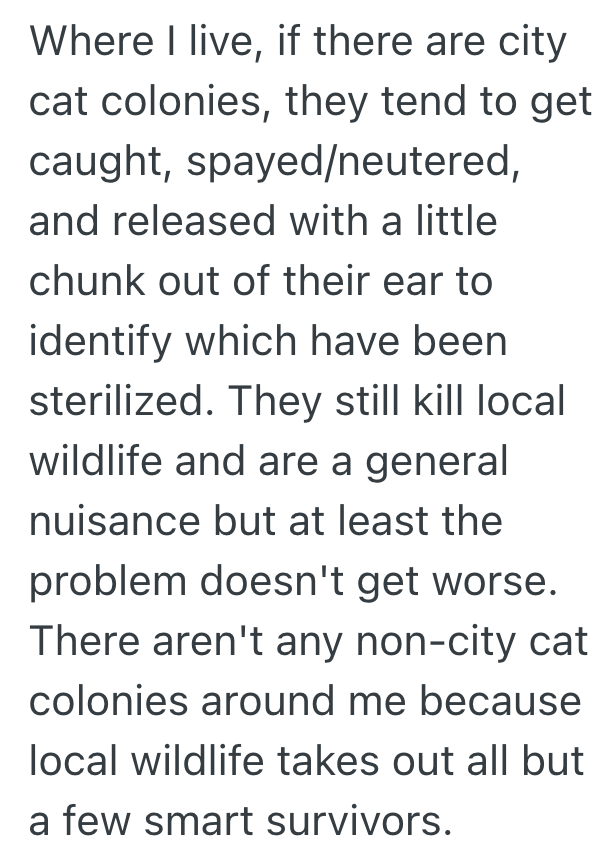HOA board member sees woman leaving food outside for feral cats, so he ...