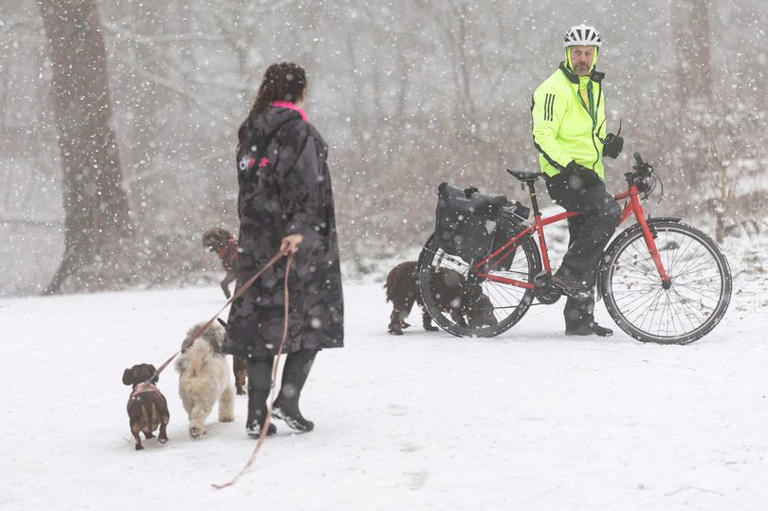 Huge sign in nature means our cold snap could lead to heatwave summer