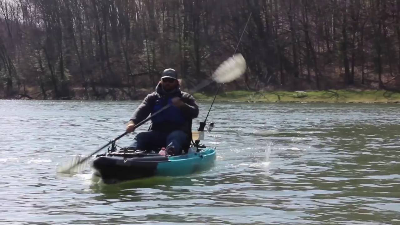 Catch fish or die trying