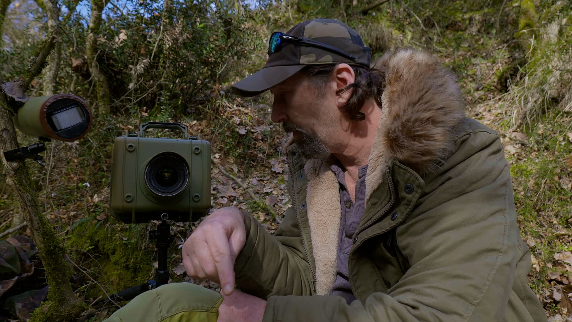 Exploring a forest ravine for my next camera trap