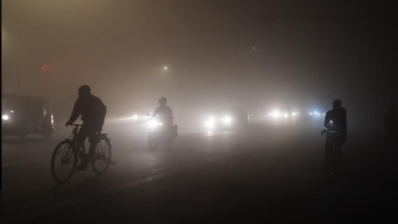 Lucknow weather latest update: Dense fog, severe cold wave forecast issued