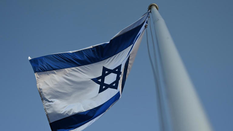 ‘Interference’: Labor MP’s shock Israel claim