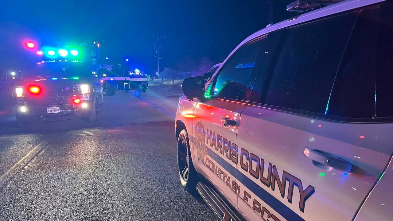 Sheldon Road crash: Authorities on scene following head-on collision in ...