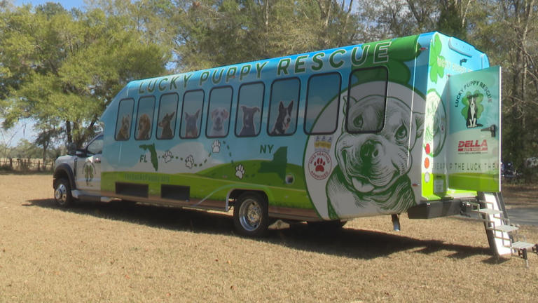 Lucky Puppy Rescue unveils new bus to transport dogs to New York ...