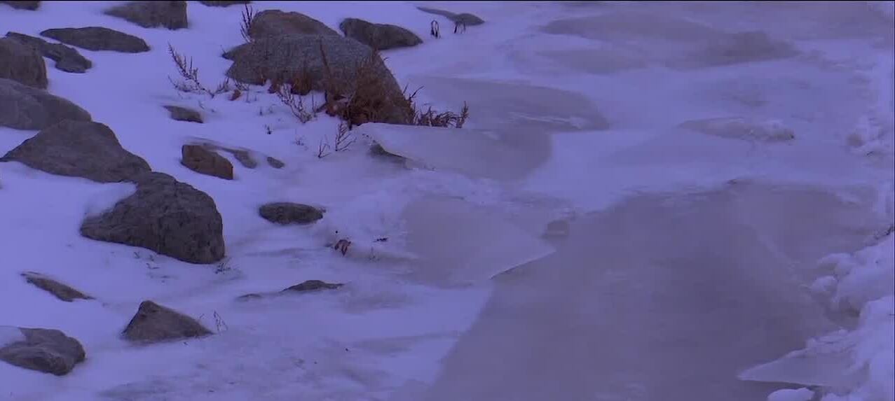 Portland urges caution as Grand River levels rise during unusual ...