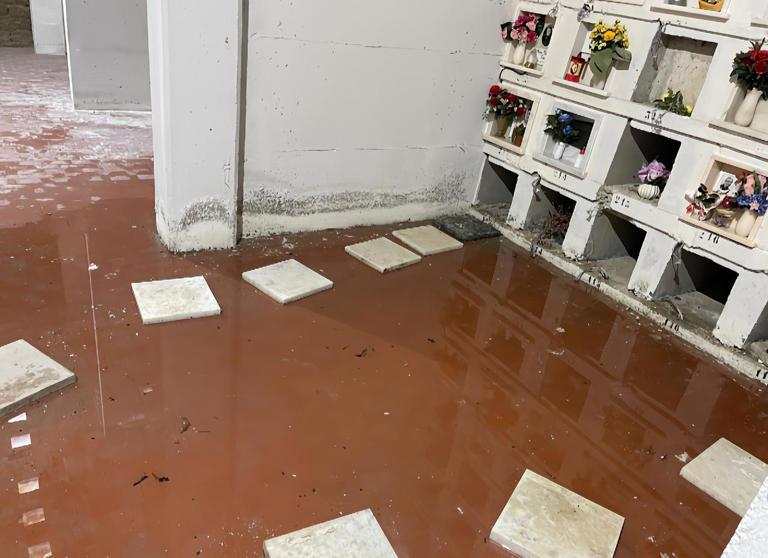 Degrado nelle aree cimiteriali: "Situazione sempre più grave. Il Comune ...