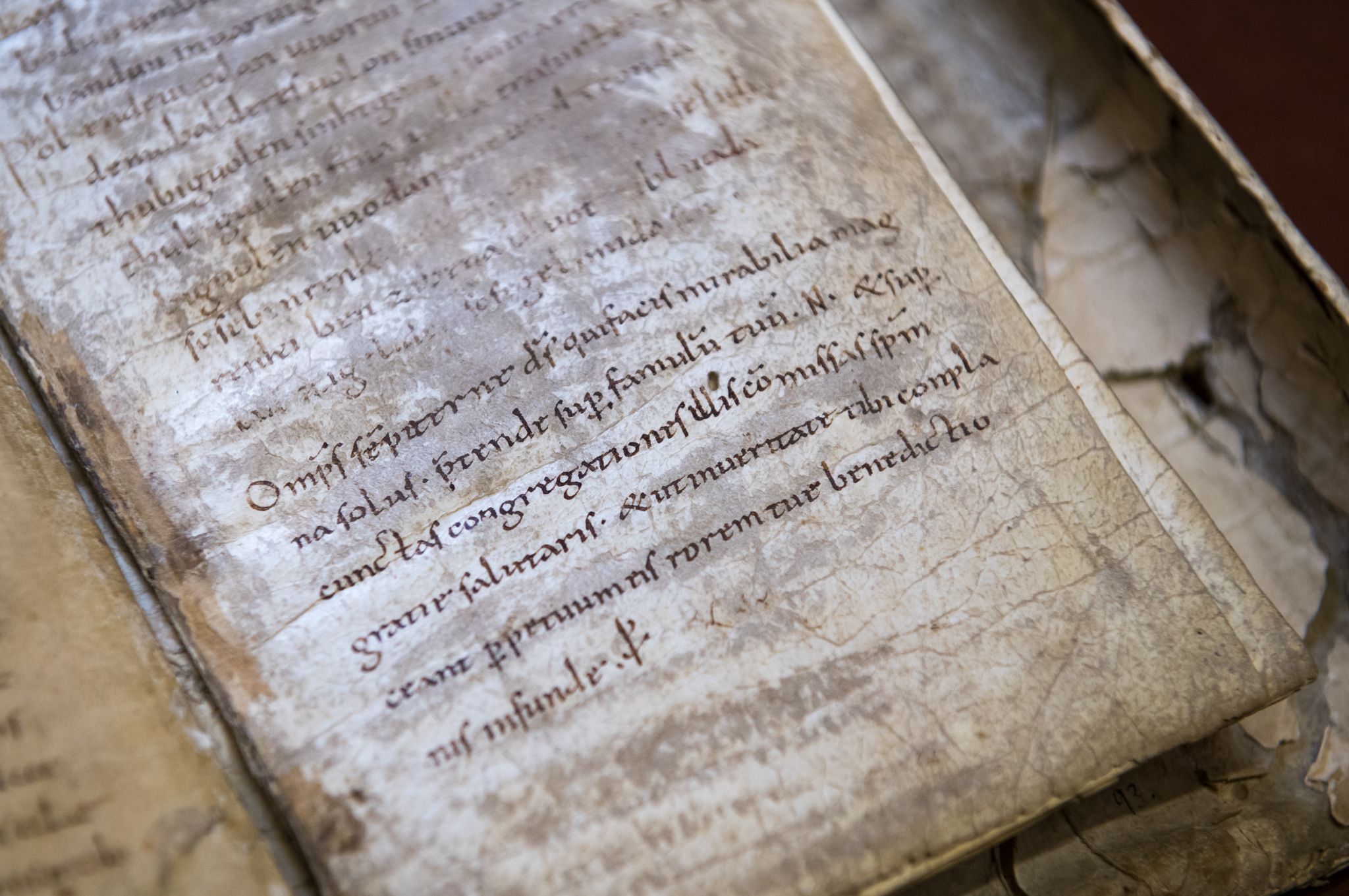 Magie aus dem Netz: Der Online-Handel mit Zaubersprüchen