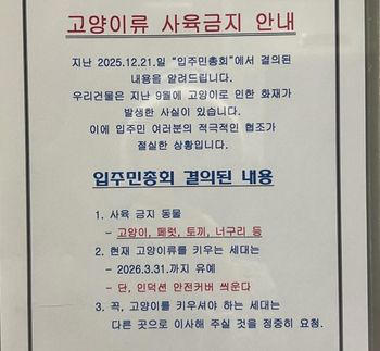 Residents purr-plexed after Korean apartment complex bans cats after fire