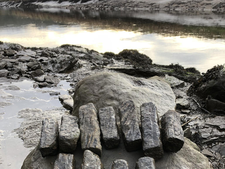 'Extraordinary' evidence of Roman industrial hub in north east England ...