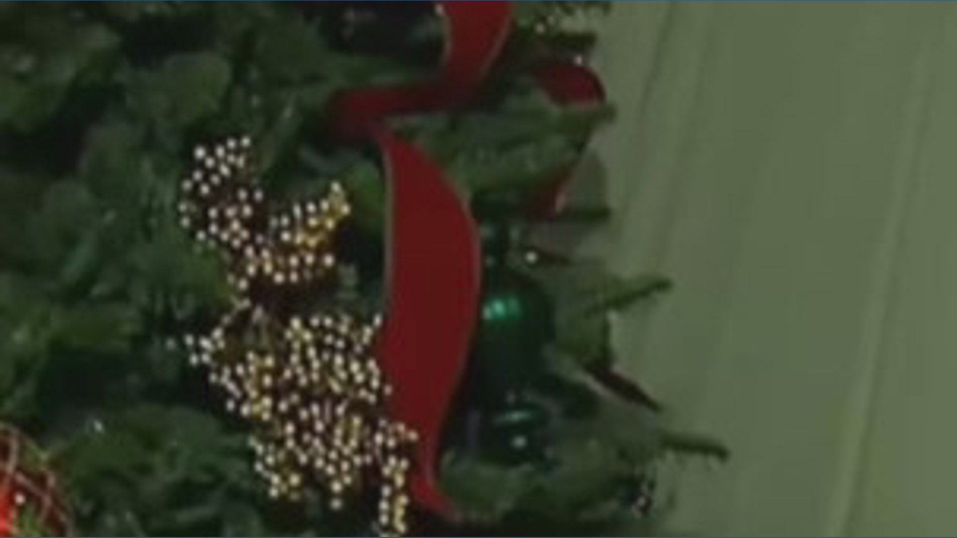 It is National Take Down Your Tree Day