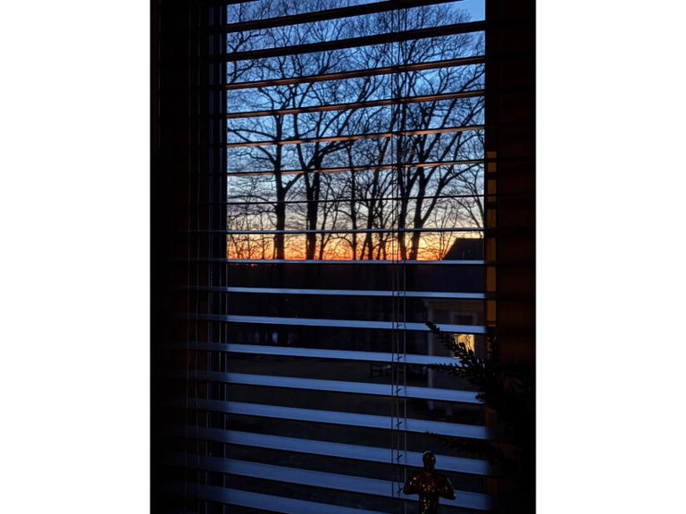 🌱 Patch AM: See how Natick’s unbeaten girls climbed into the Globe’s top 5