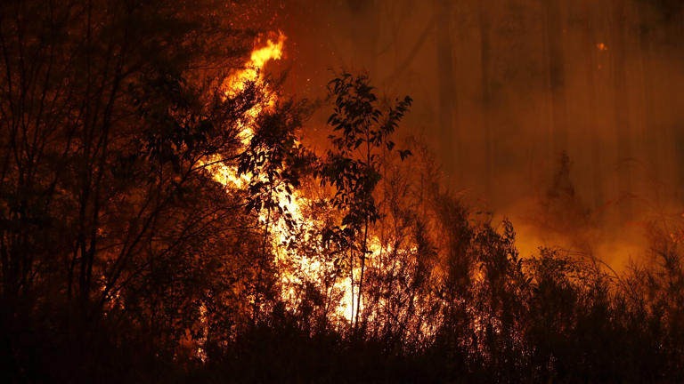 Heatwave update provided as extreme fire danger threatens Victoria