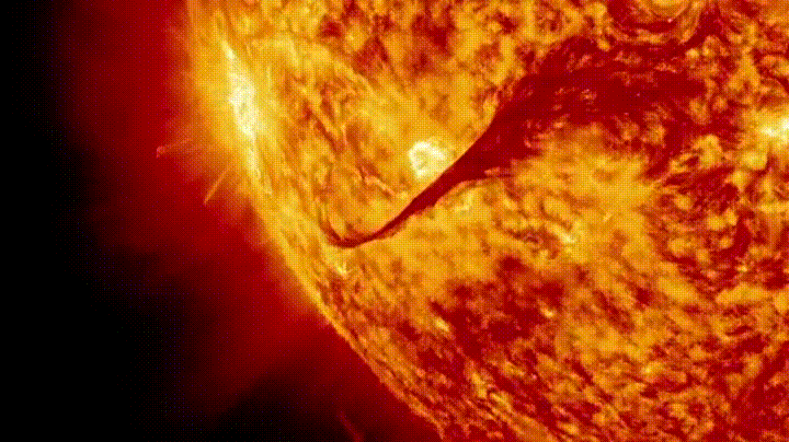 Elon Musk's cosmic reality check: Why human civilisation is still in ...